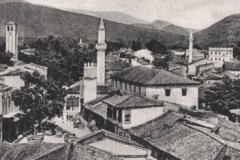 Elbasani - Kronikat e një qyteti