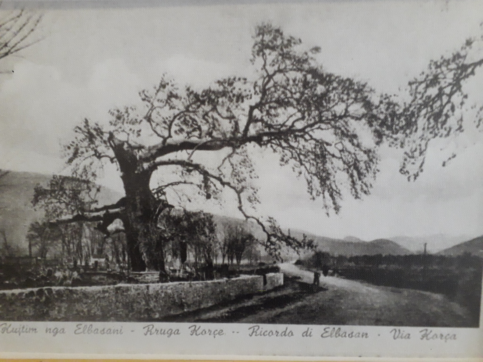 Rrapi i Vojvodës - Elbasani